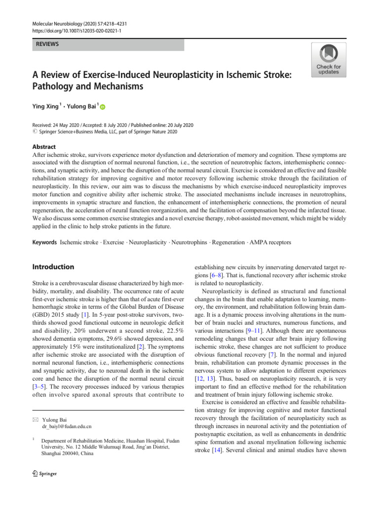 exercise stroke | PDF | Neuroplasticity | Stroke