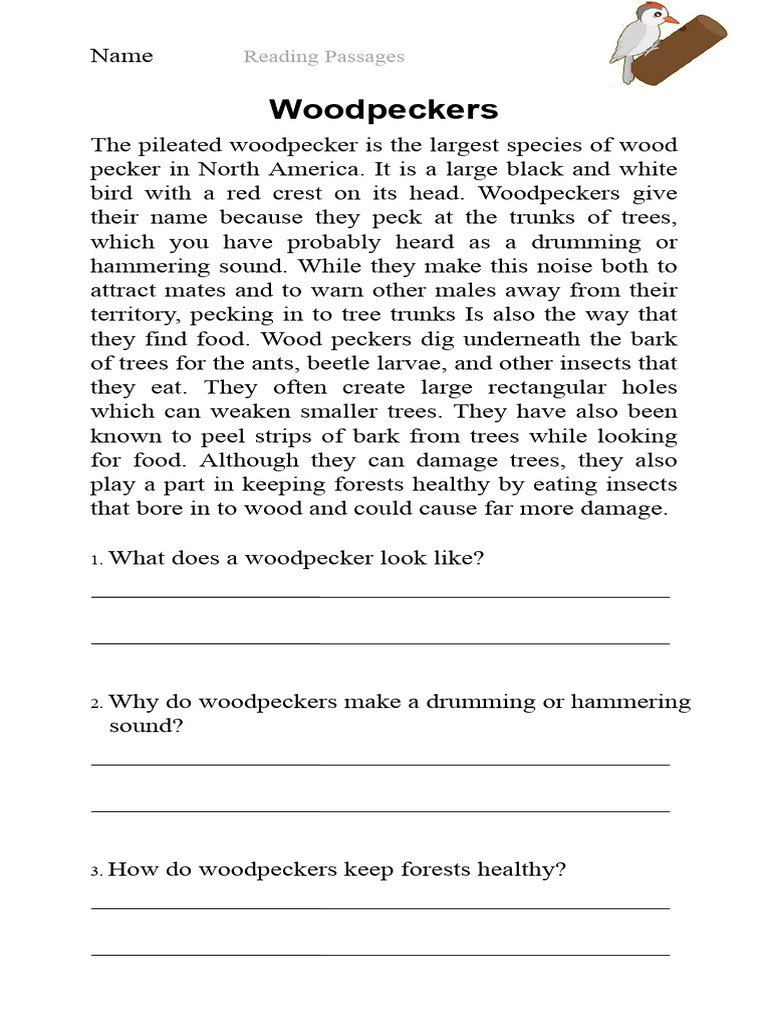 A Worksheet On Reading Passages From | PDF