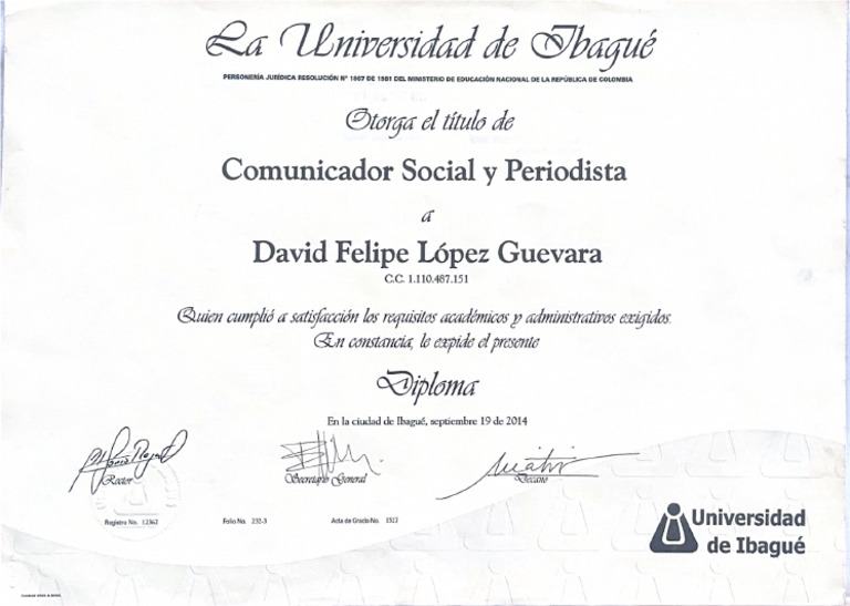 Diploma Profesional | PDF