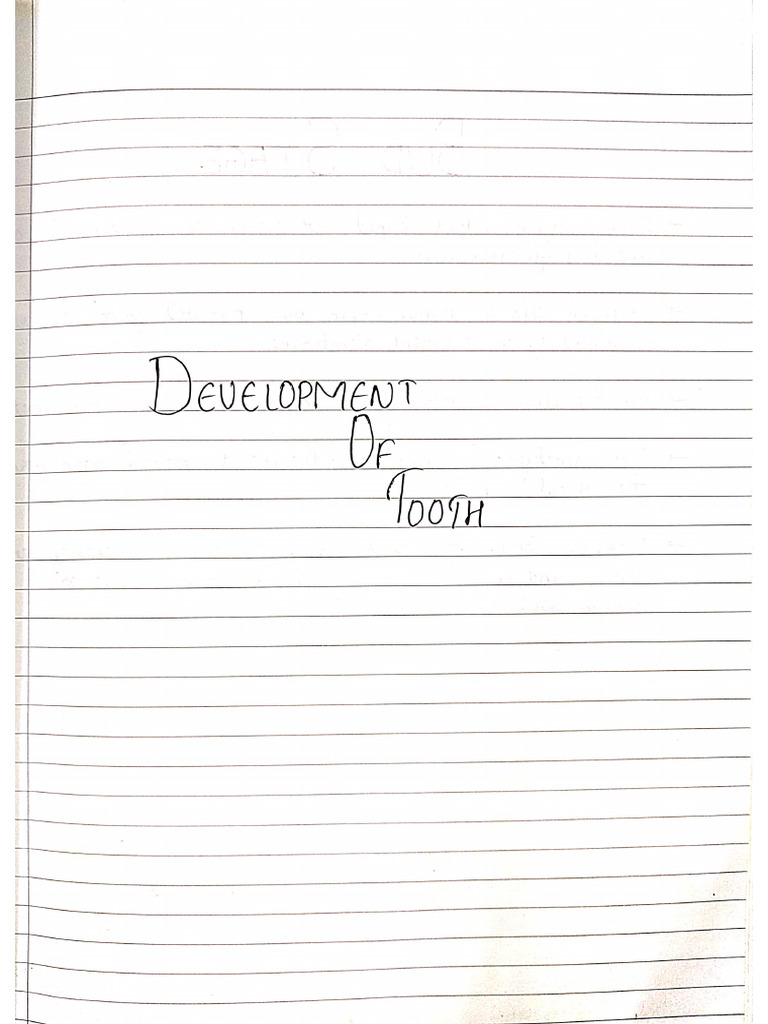 Development of Tooth | PDF
