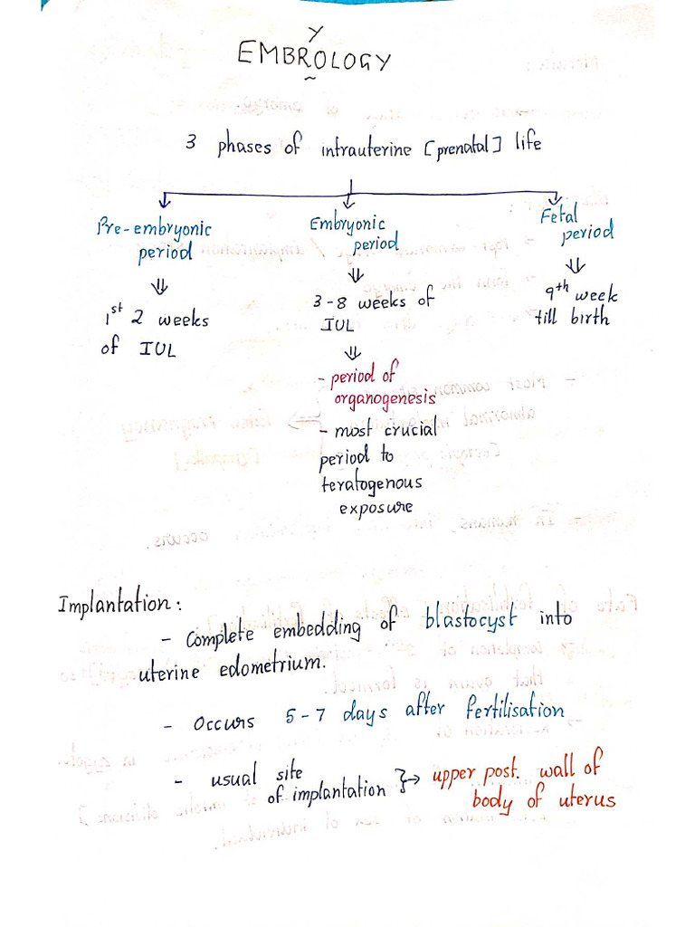 Embryology Full Notes-1 250311 145227 | PDF