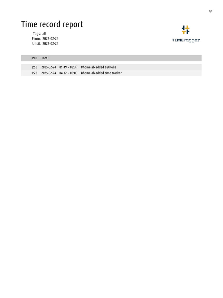 Timetagger 20250224 | PDF