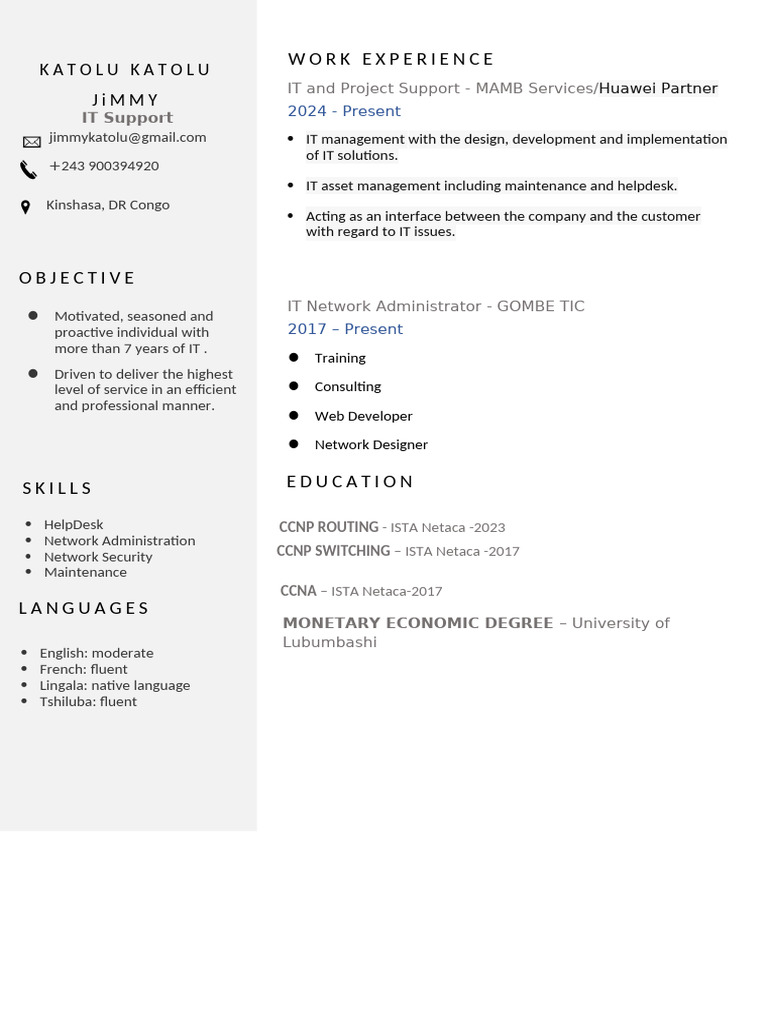 144 Modele CV en Anglais | PDF