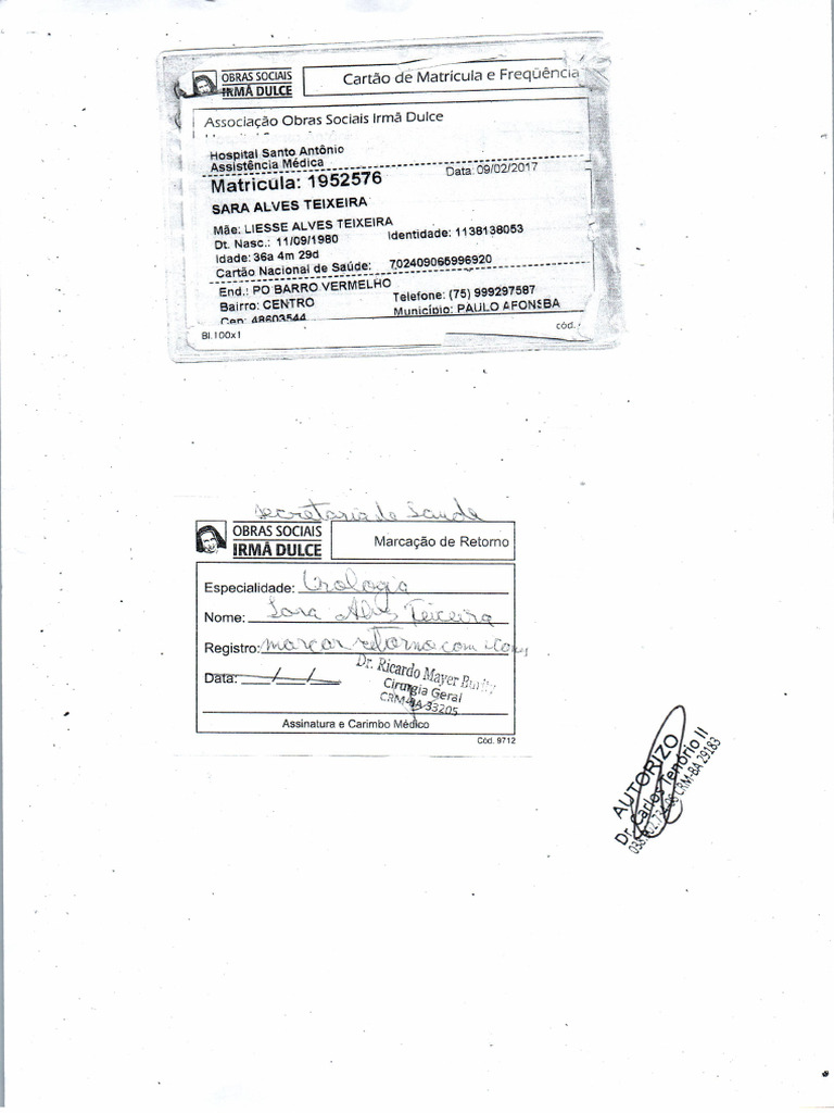 Guia Sus Sara Alves Teixeira | PDF