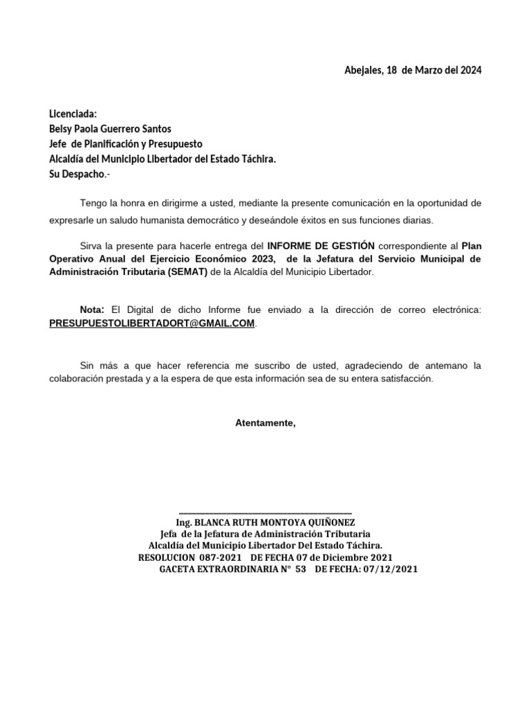 Informe de Gestion 2024 | PDF