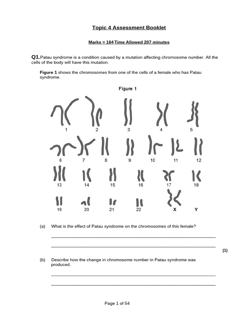Patau Syndrome and Field Mouse Classification | PDF | Ploidy | Meiosis