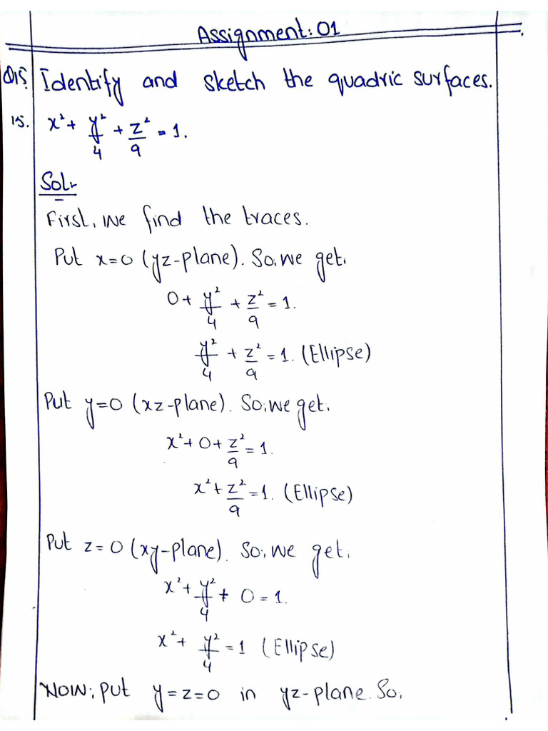 Assignment Calculus 3 | PDF
