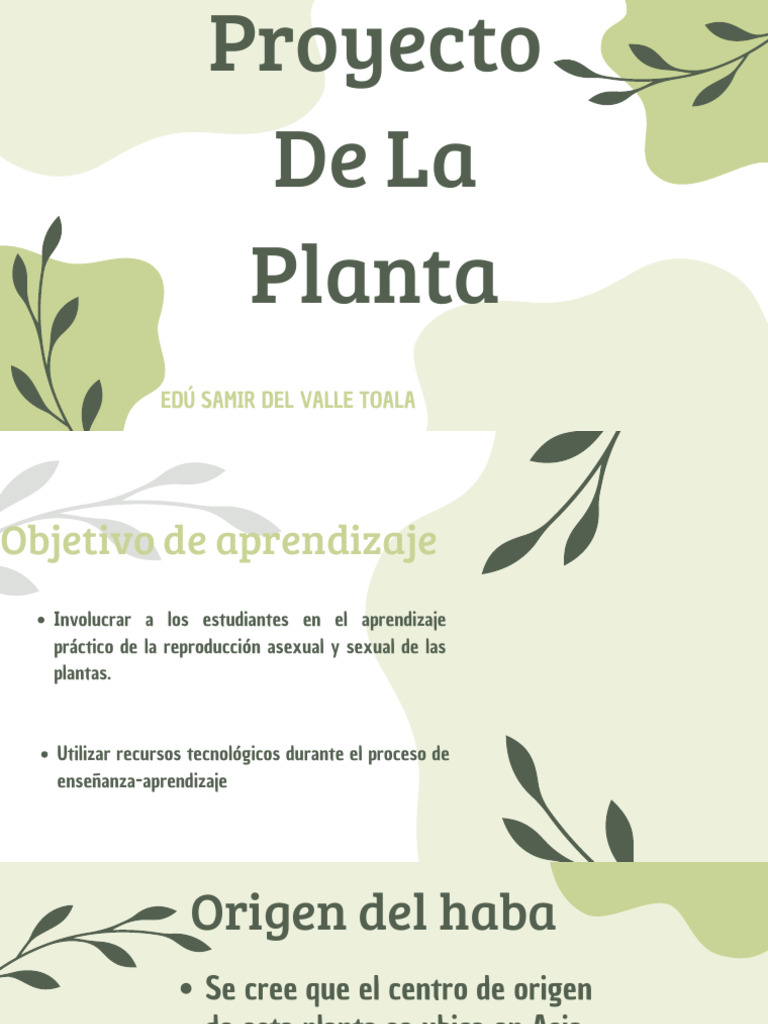 Presentación de samito juguito del valle_20250206_161042_0000 | PDF