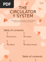 Overview of the Circulatory System | PDF | Blood Vessel | Heart