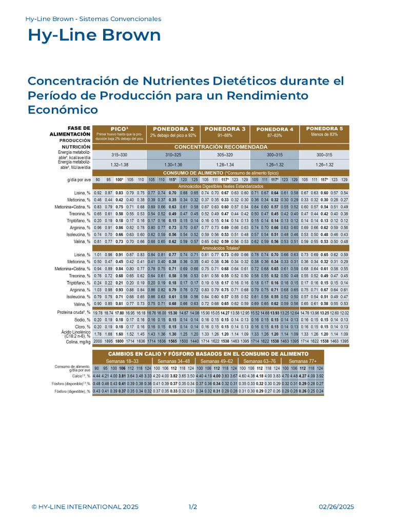 Hy-Line Brown Sistemas Convencionales Español | PDF