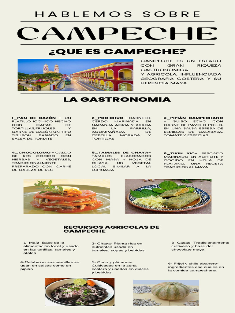Infografía de Periódico Moderno Ordenado Colorido PDF | PDF