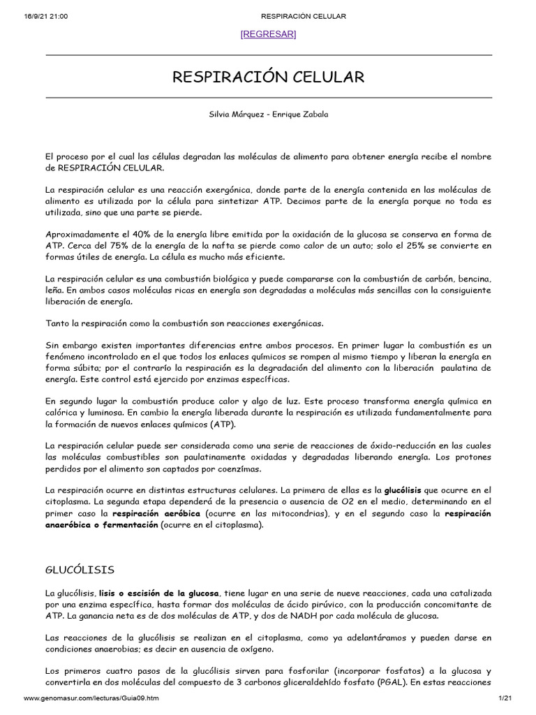 RESPIRACI-N CELULAR | PDF | Respiración celular | Trifosfato de adenosina