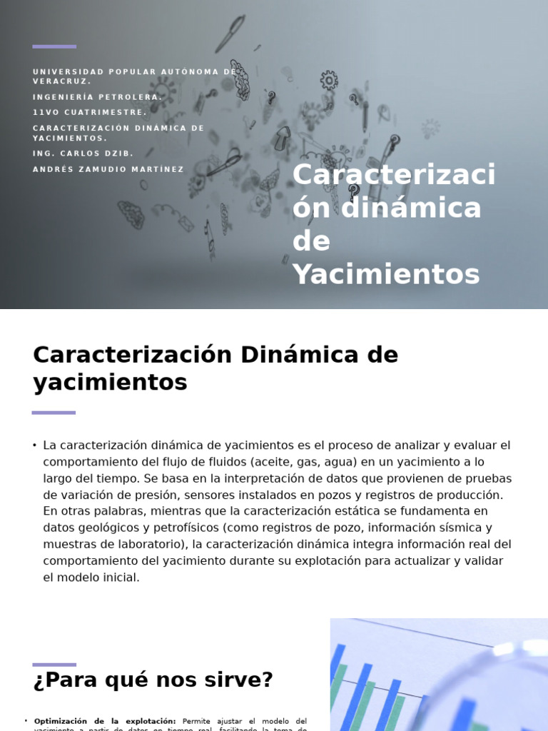 Caracterización Dinámica de Yacimientos | PDF