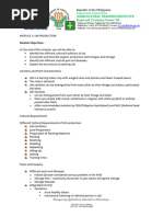 Ubi Production Guide for Farmers | PDF | Mulch | Fertilizer