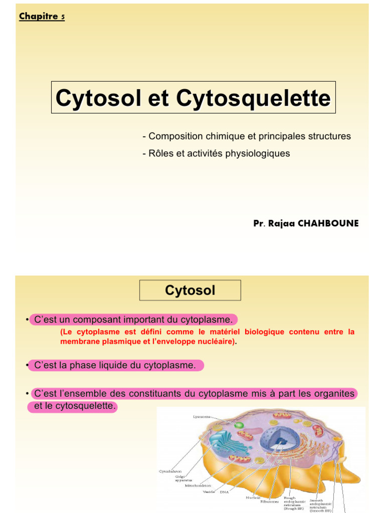 Cytosol et Cytosquelette : Rôles et Structures | PDF | Microtubule ...