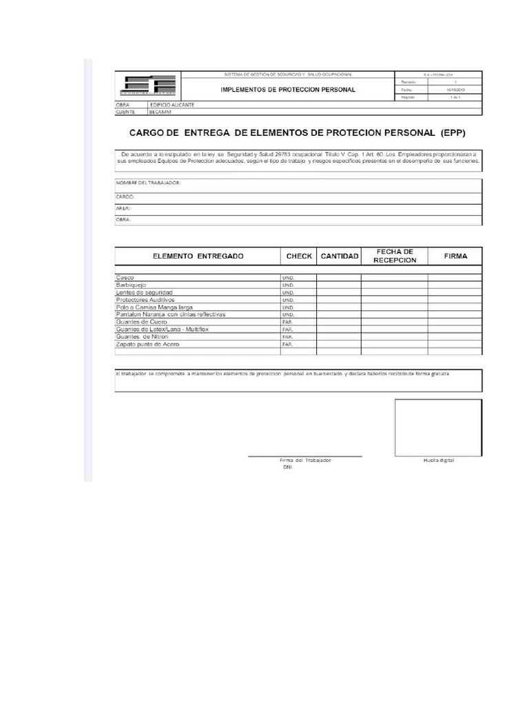 Formato de Entrega de Epp 2 | PDF