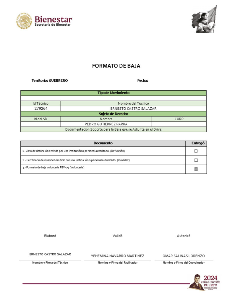 Formato Baja 2025 | PDF