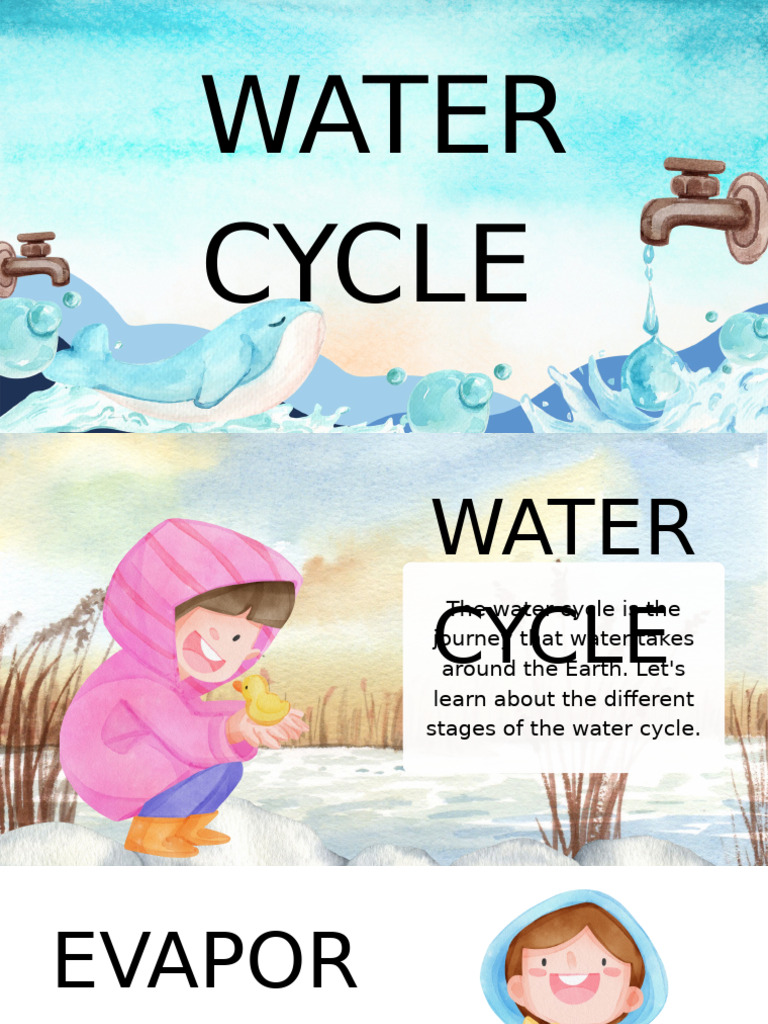 Understanding the Water Cycle Stages | PDF