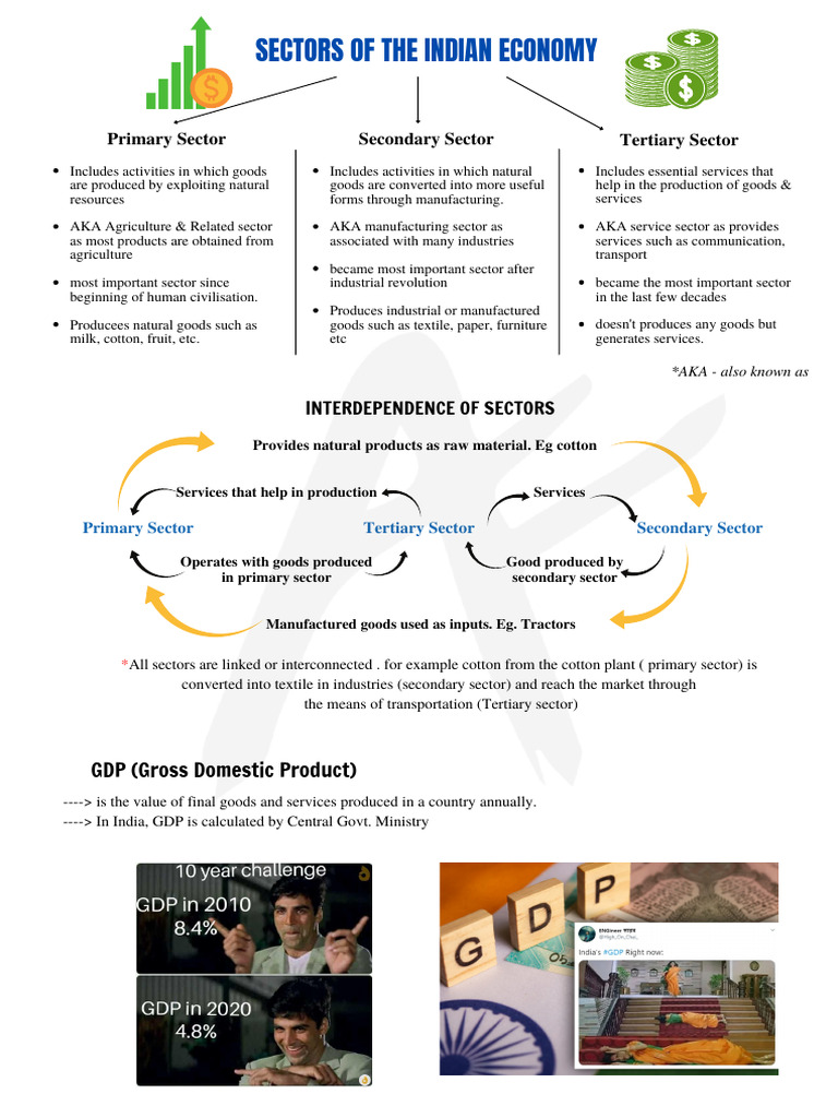 Sectors of the Indian Economy Explained | PDF | Business | Economies