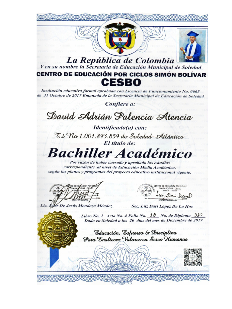 Diploma David Palencia | PDF