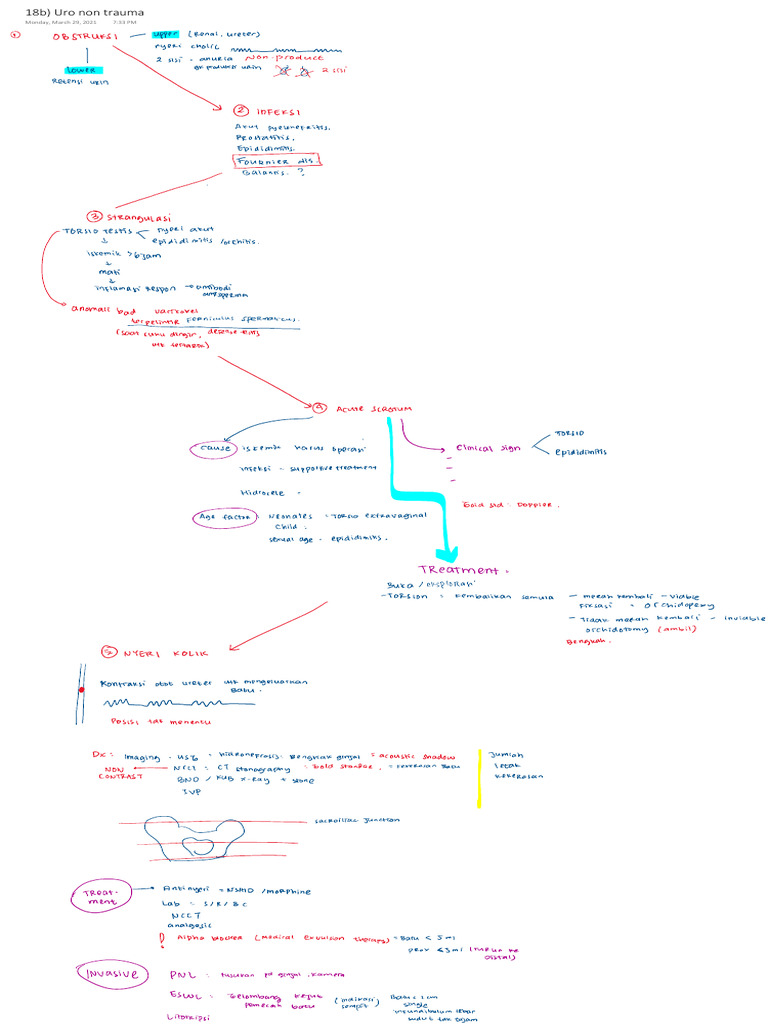Non Traume Catatan Uro - Daffa | PDF