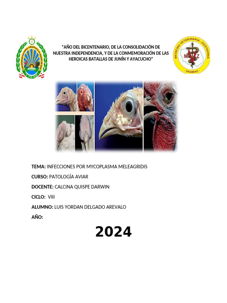 Infecciones por Mycoplasma meleagridis | PDF | Infección | Micoplasma