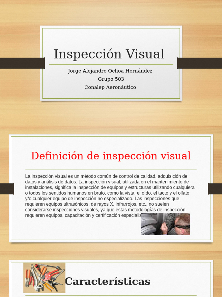 Inspección Visual: Métodos y Aplicaciones | PDF