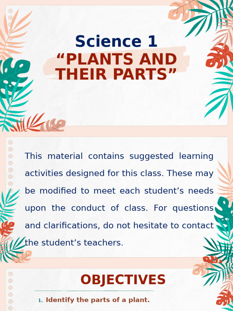 Understanding Plant Parts and Functions | PDF