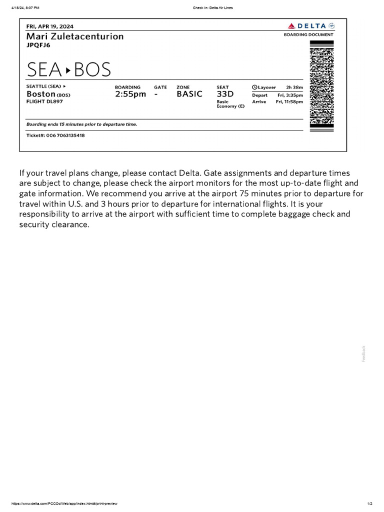 Delta Airlines Check-In Guidelines | PDF