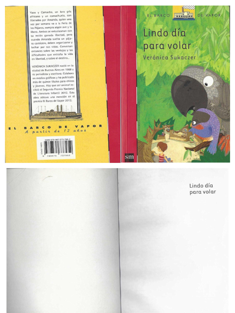 Lindo Dia para Volar Veronica Sukaczer | PDF