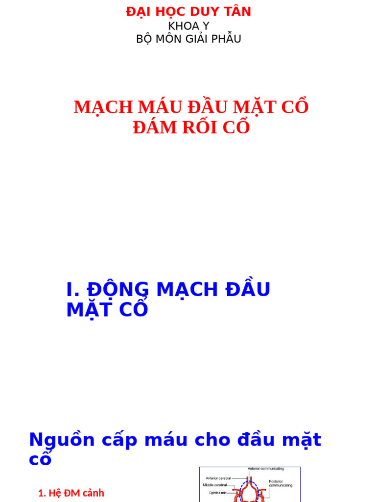 252 Mach Mau Dam Roi Co | PDF