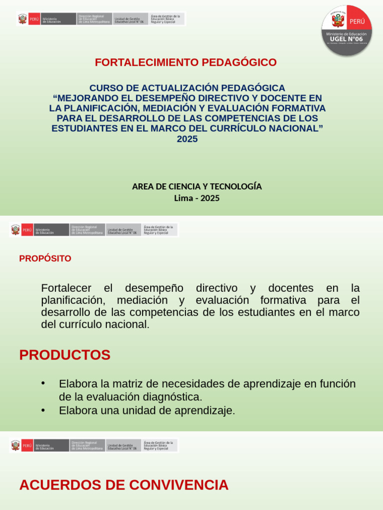 Cyt 2025 | PDF | Evaluación | Aprendizaje