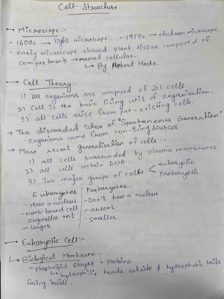 Cell Structure | PDF