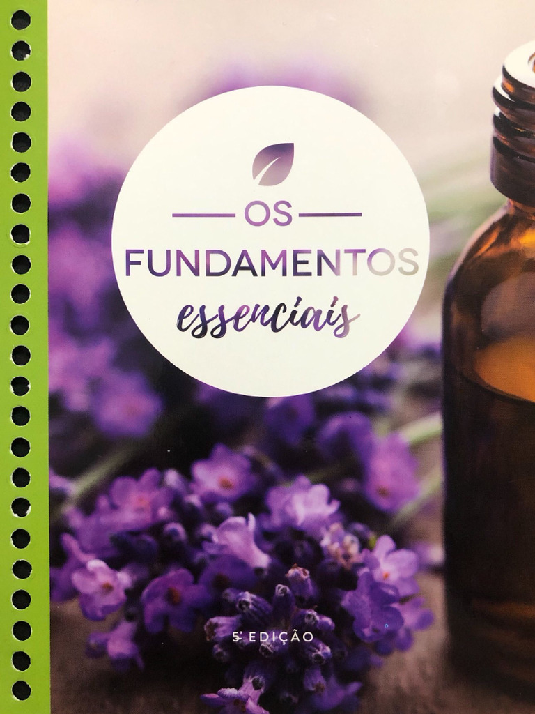 Os Fundamentos Essenciais | PDF