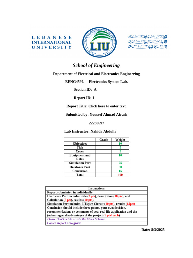 LIU Spring25 Template Report | PDF