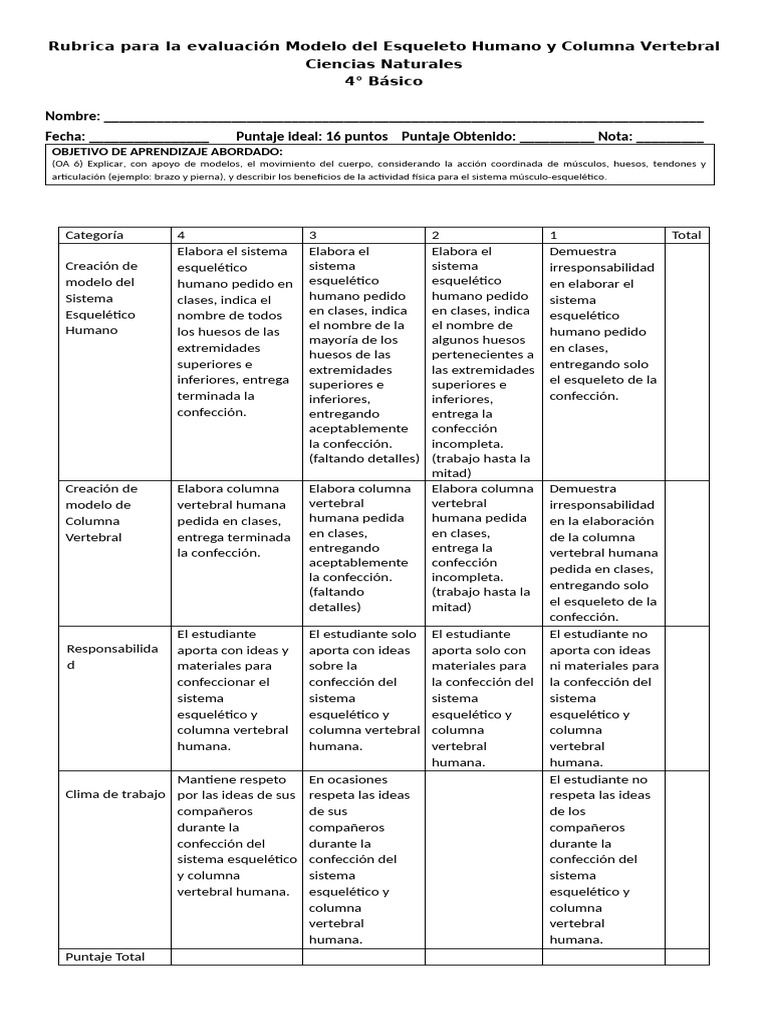 4° - Cs. Naturales - RUBRICA MODELO DE ESQUELETO HUMANO Y COLUMNA VERTEBRAL | PDF | Esqueleto ...