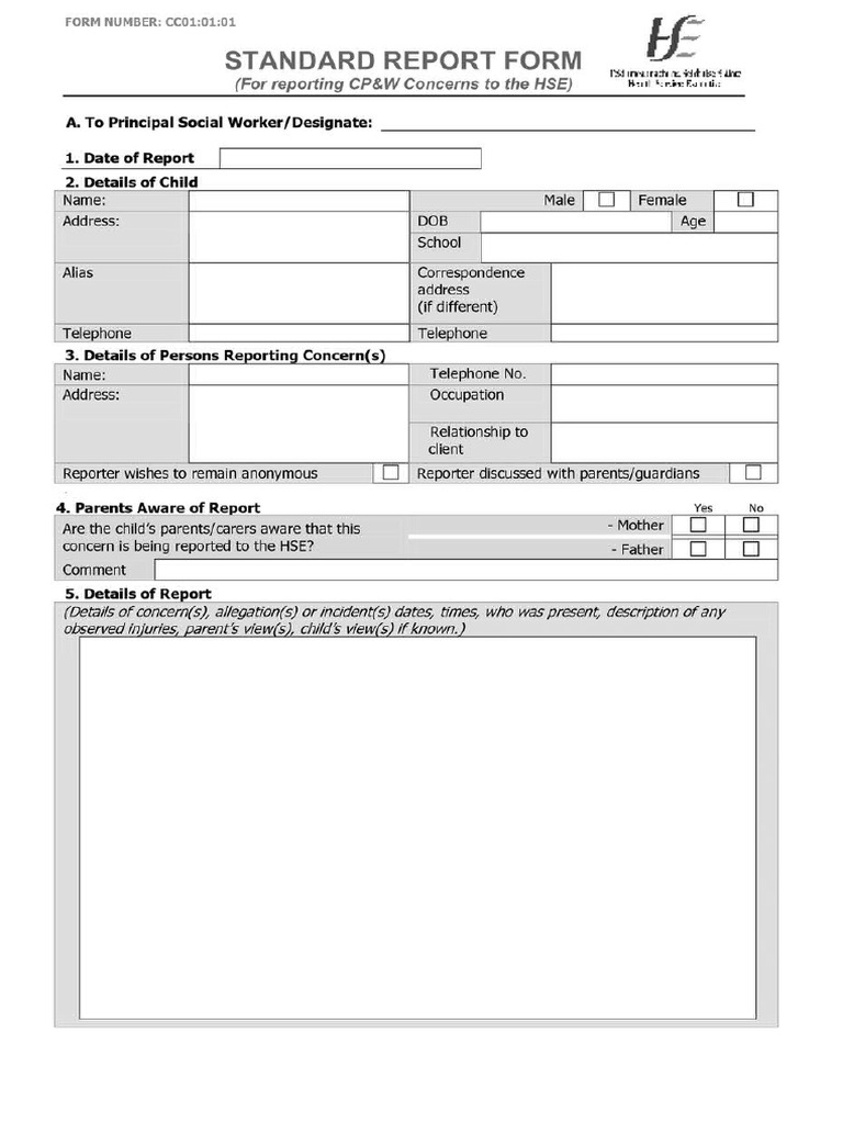 HSe Standard RePort Form (1) (2) | PDF