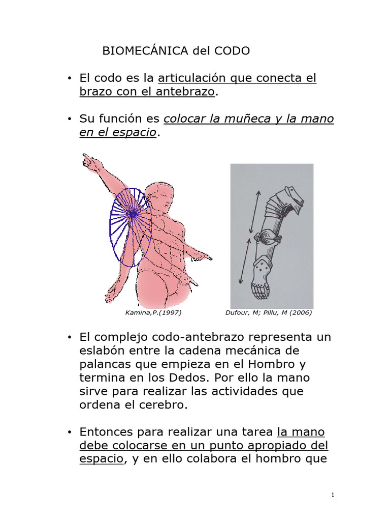 BMC Codo | PDF | Codo | Articulación