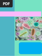 Reproduksi Bakteri, Tahapan, Cara, Dan Gambar Ilustrasinya | PDF ...