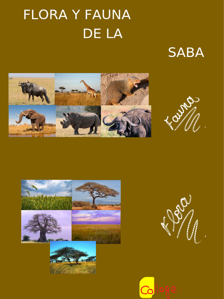 collage de la Sabana Africana | PDF