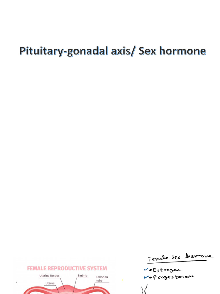 Sex Hormone - Menstrual Cycle | PDF