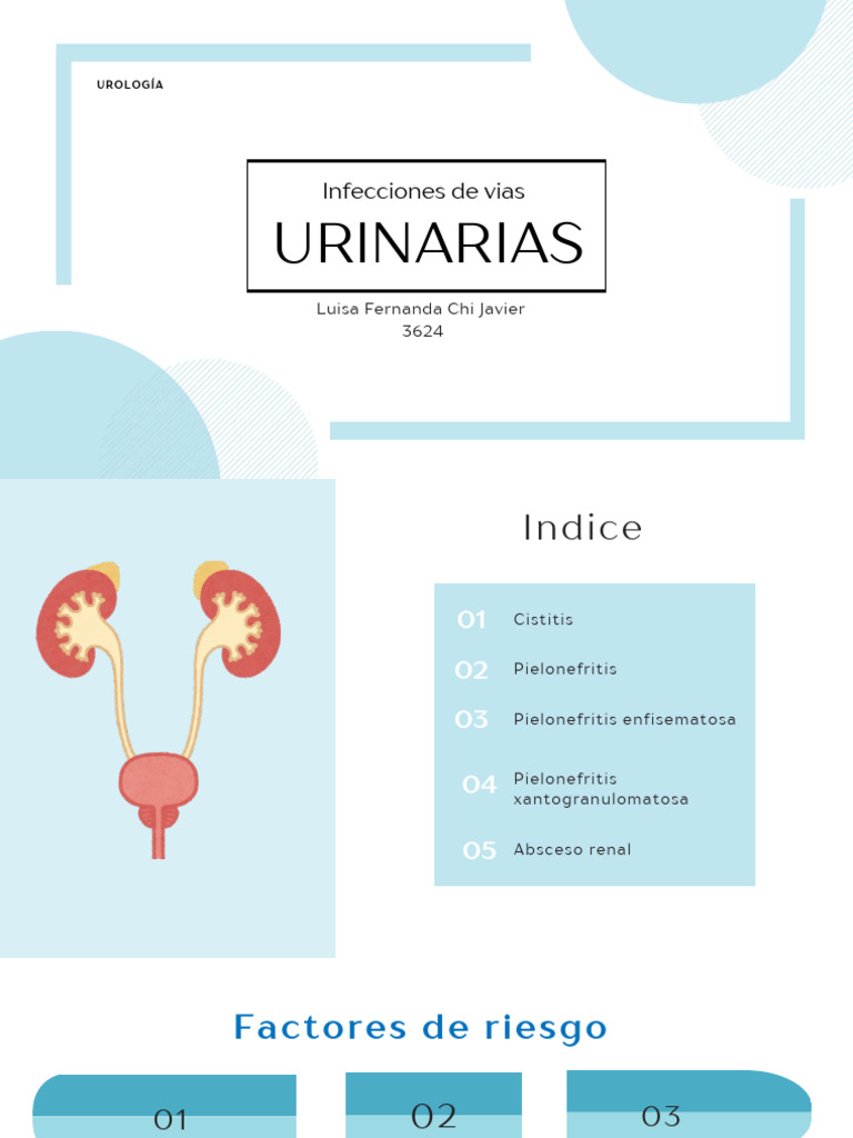 Infecciones Urinarias: Causas y Tratamientos | PDF | Infección del ...