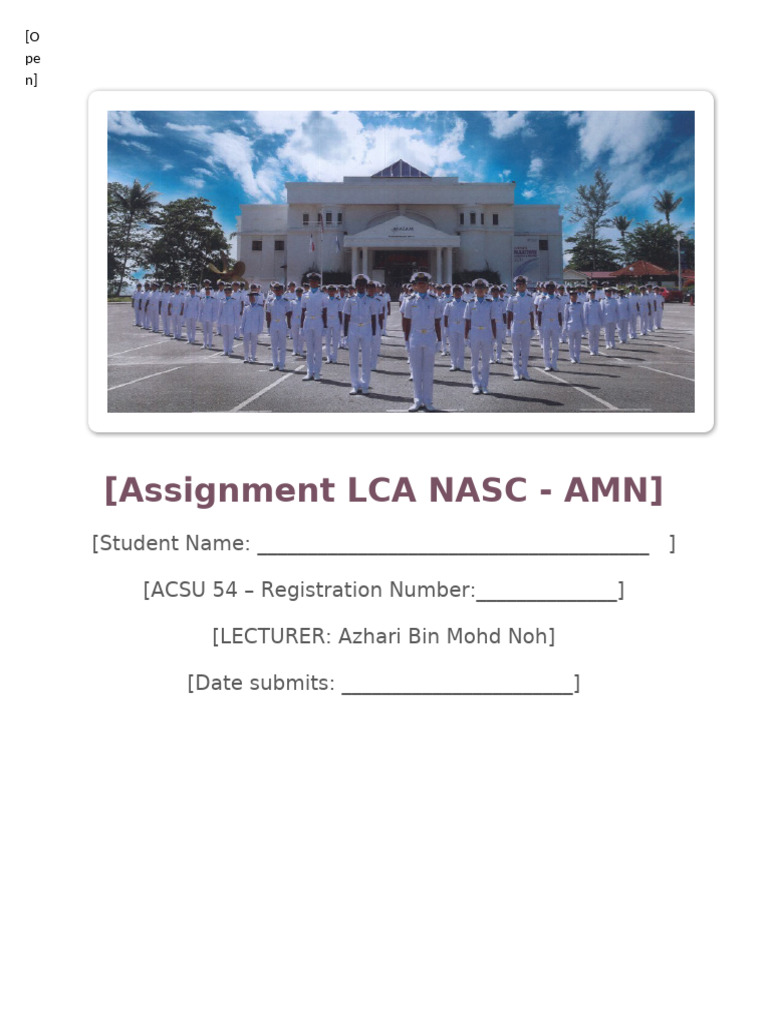 ACSU 54 2024 LCA Assignment | PDF