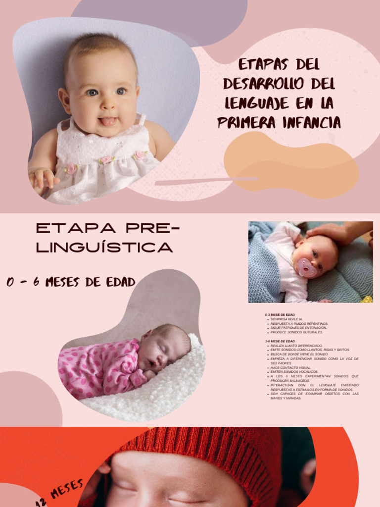 Etapas Del Desarrollo Del Lenguaje | PDF | Pronombre | Aquisición de idioma