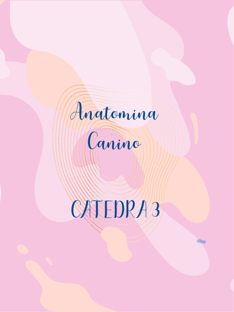 Anatomia Canina Catedra 3 | PDF | Nariz humana | Laringe