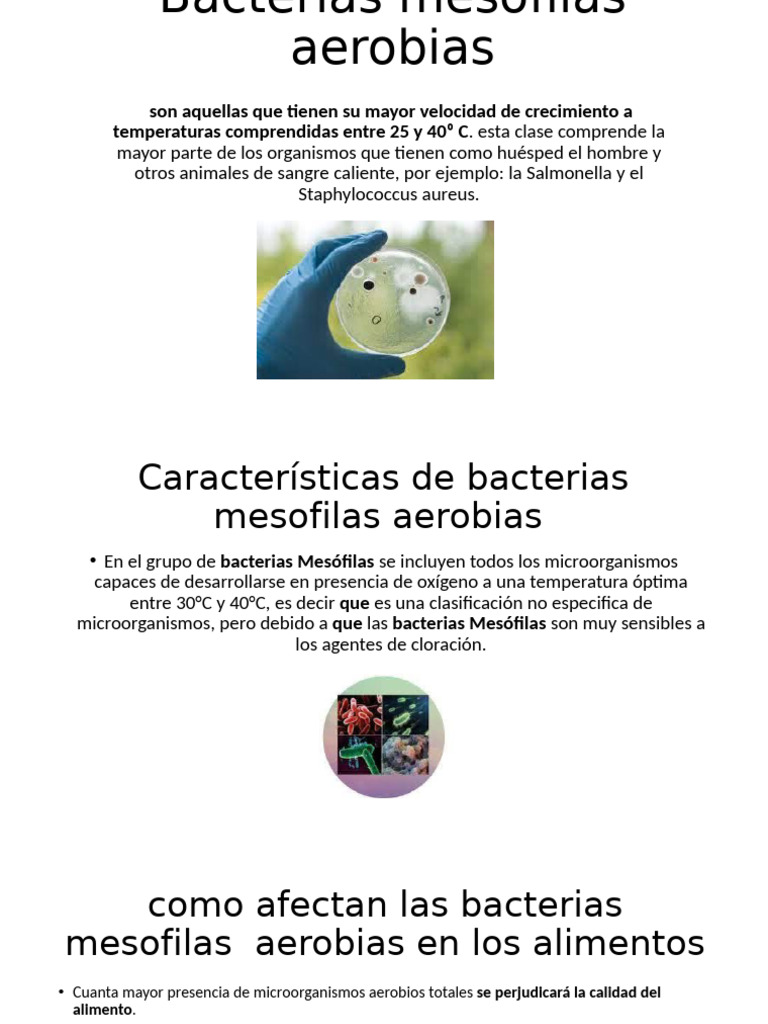Bacterias Mesofilas Aerobias | PDF | Las bacterias | Microorganismo