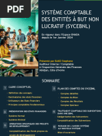 Formation Sur Sycebnl CPSK Nov 024 Yzm | PDF | Comptabilité analytique ...