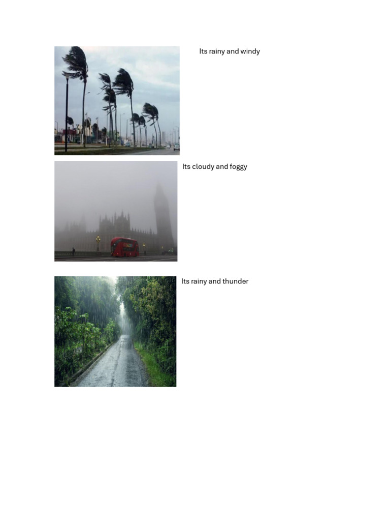 Weather Conditions: Rain and Fog | PDF