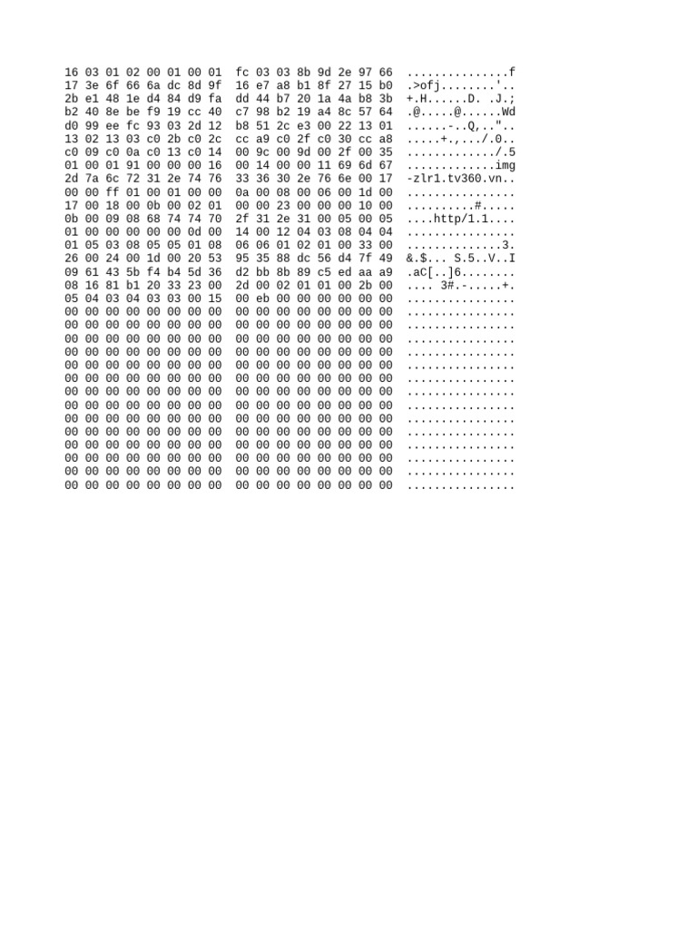 Hexadecimal Data Analysis Report | PDF | Chess Theory | Chess
