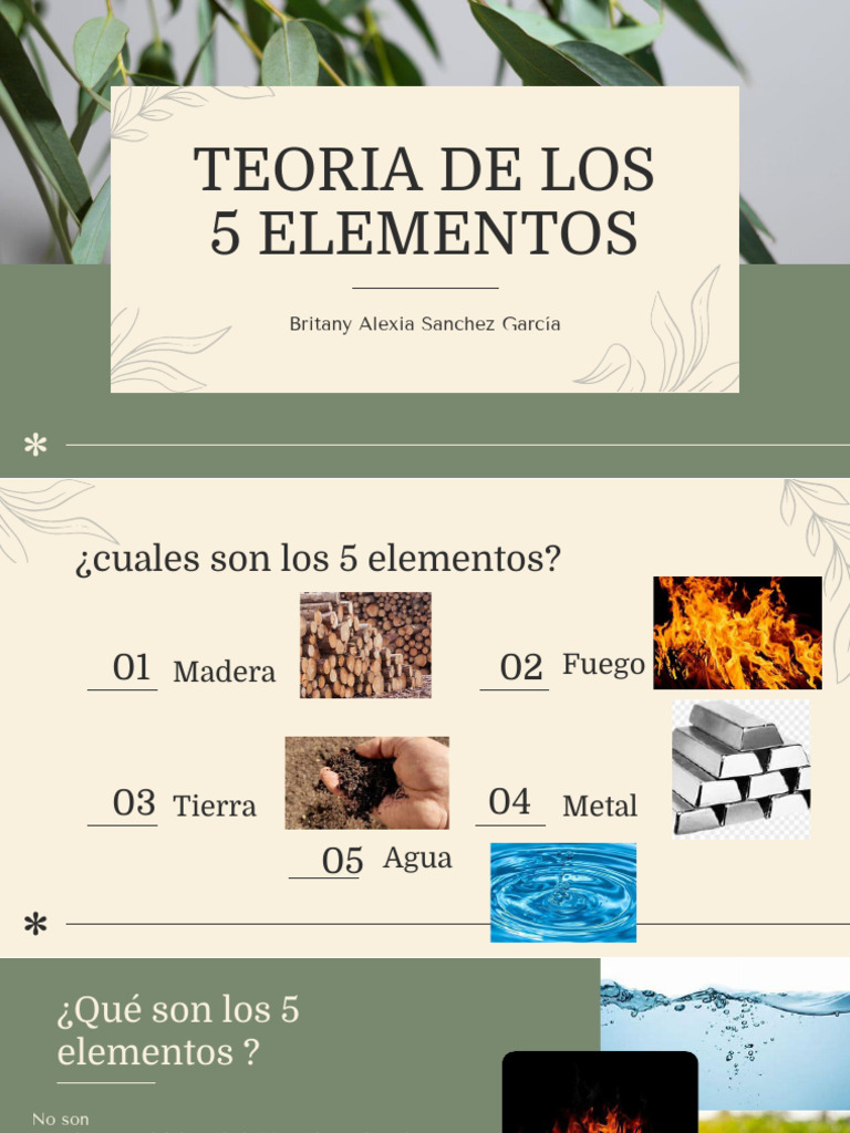 Teoría de los 5 Elementos en Medicina | PDF | Agua | Tierra